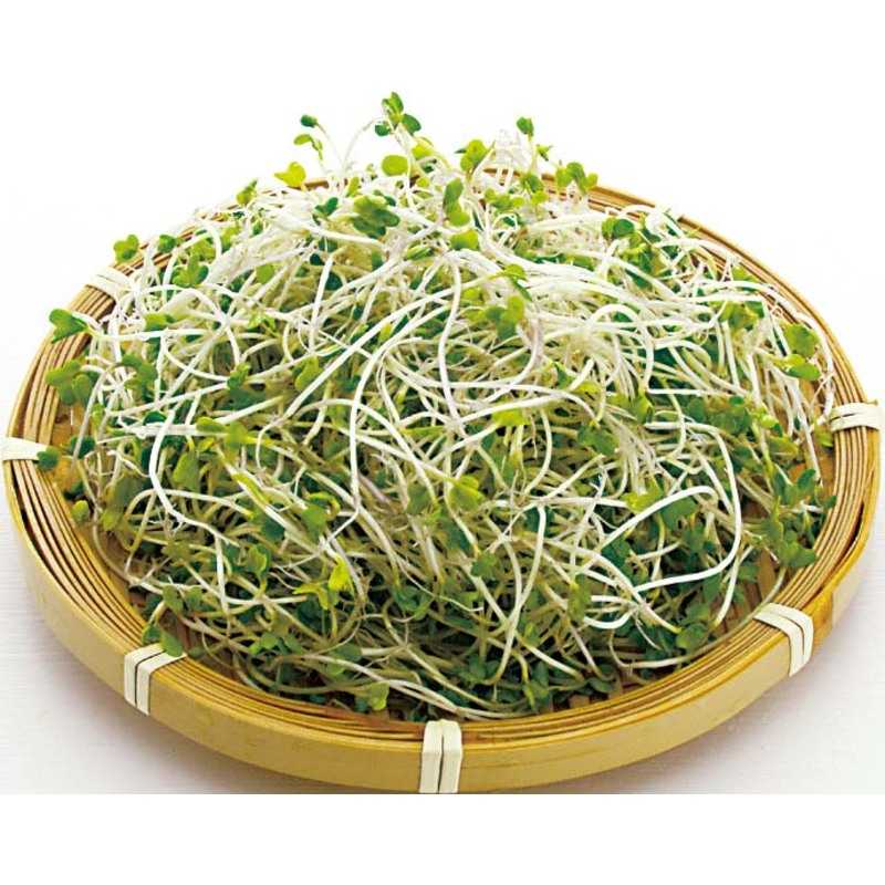 ブロッコリースプラウト | クラシルチラシ